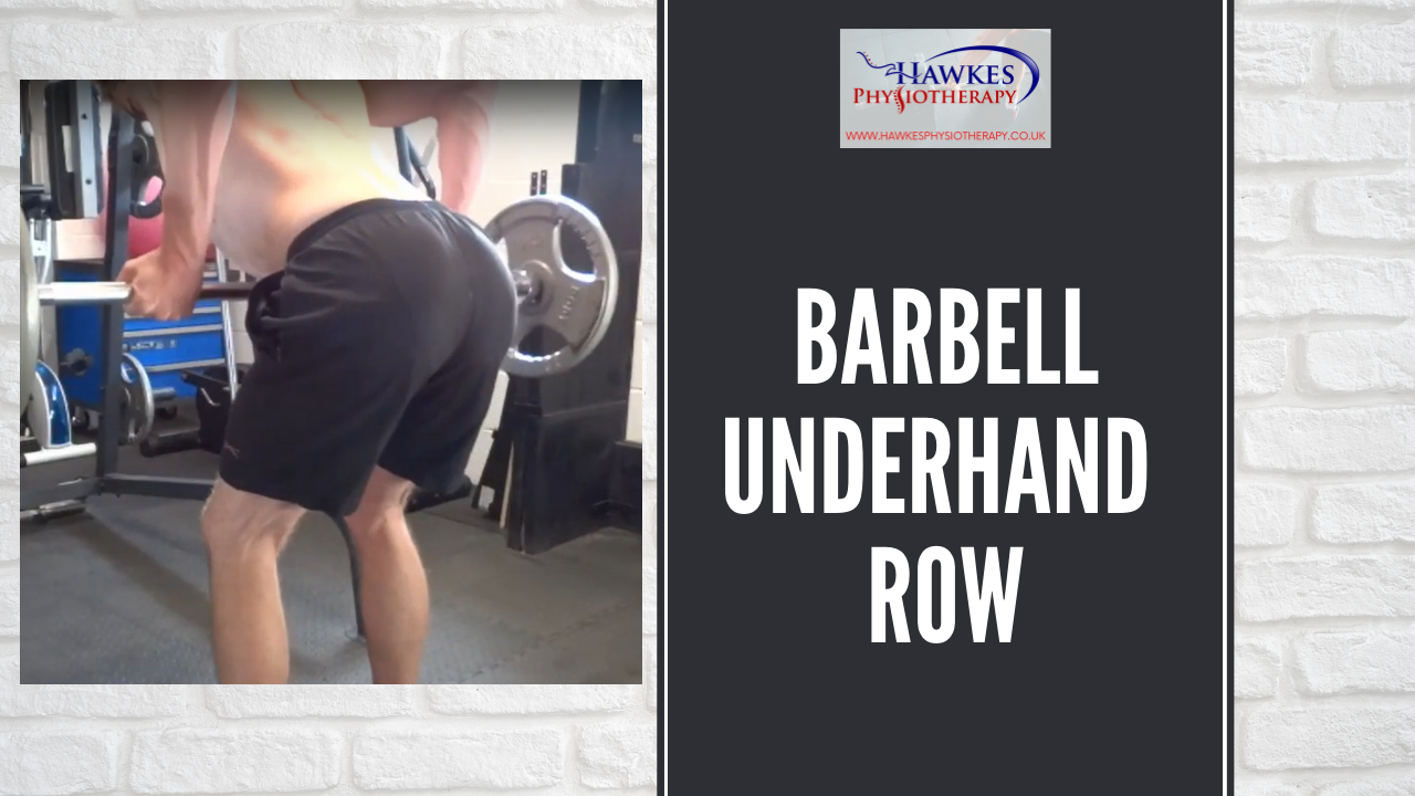 Barbell Underhand Row - Hawkes Physiotherapy