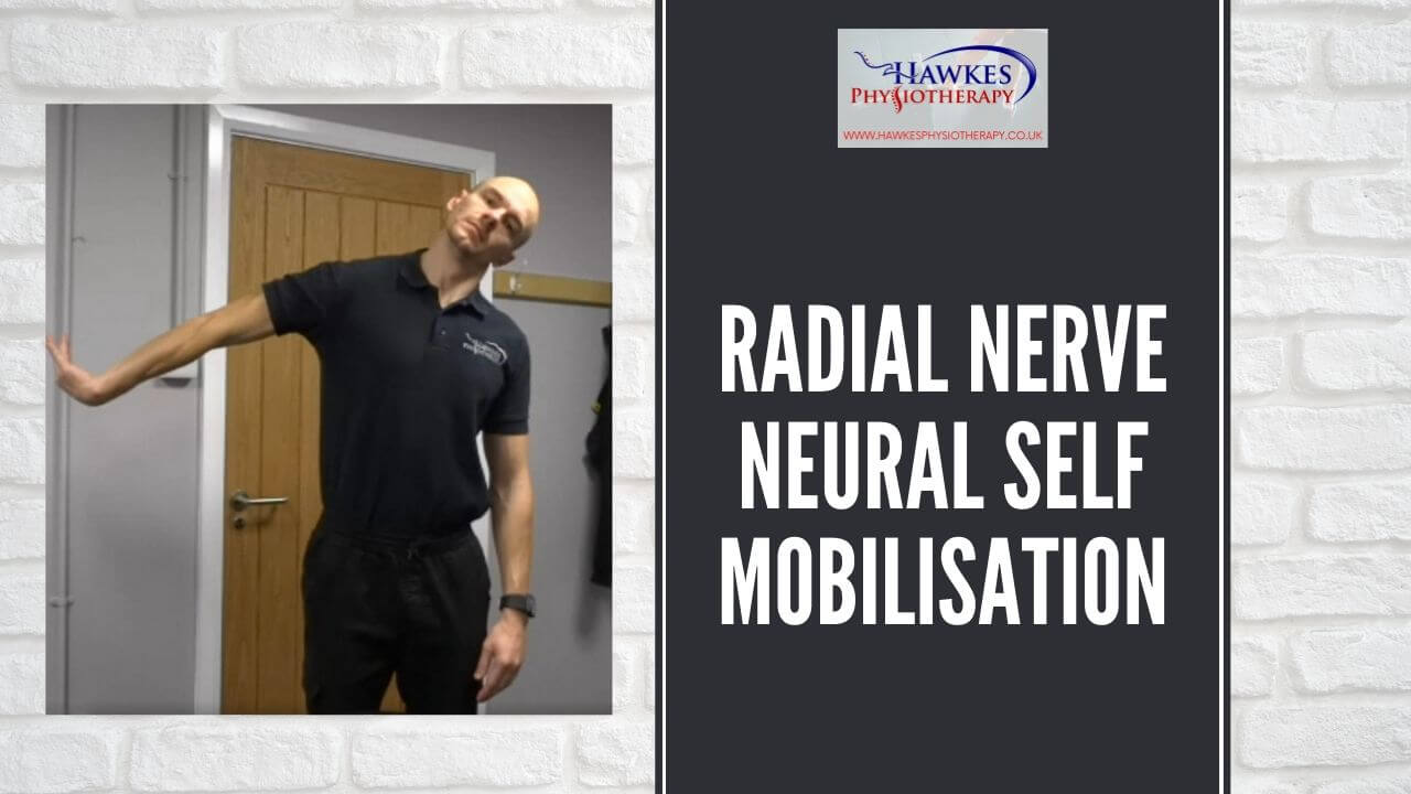 Radial Nerve neural self mobilisation - Hawkes Physiotherapy