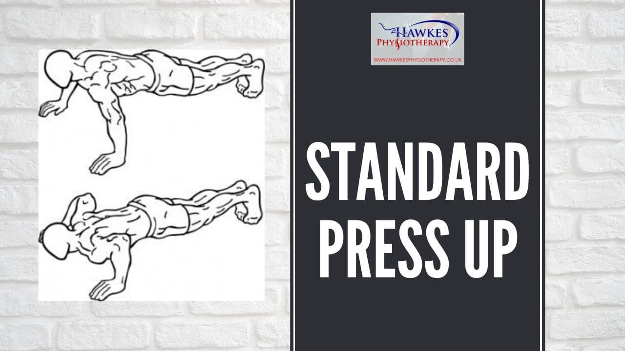 Standard Press up - Hawkes Physiotherapy