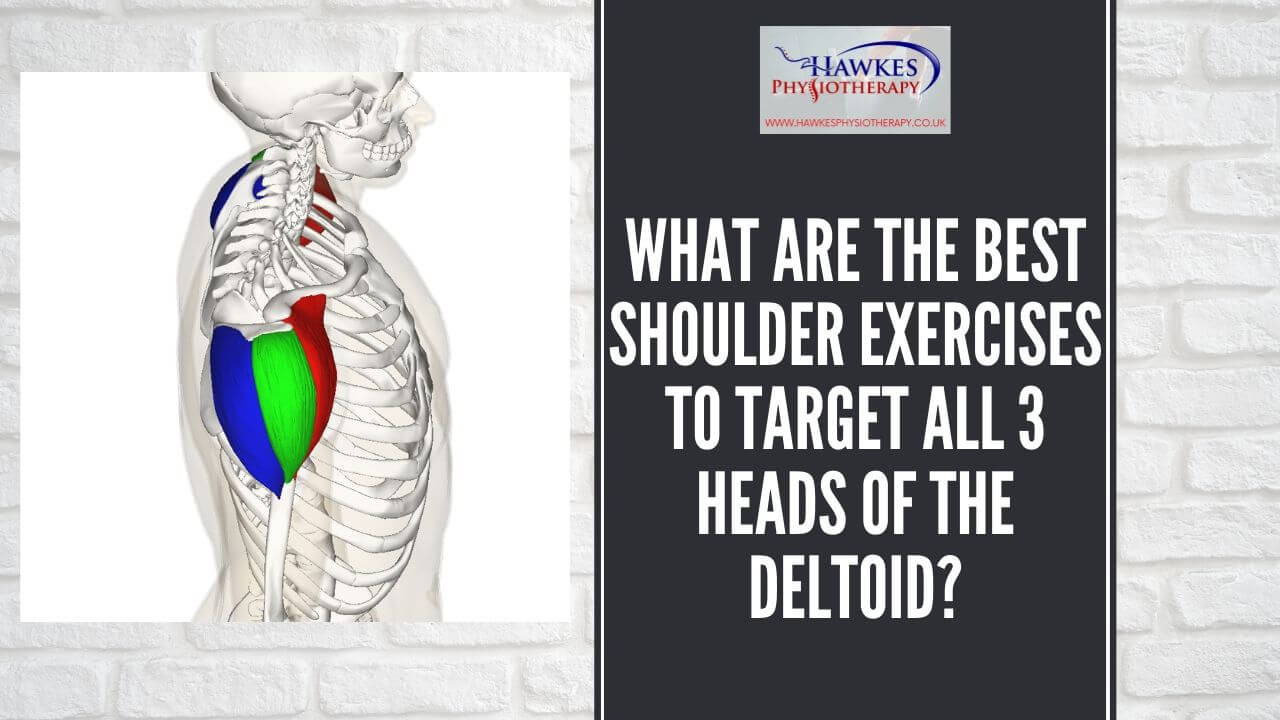 What are the best shoulder exercises to target all 3 heads of the Deltoid?