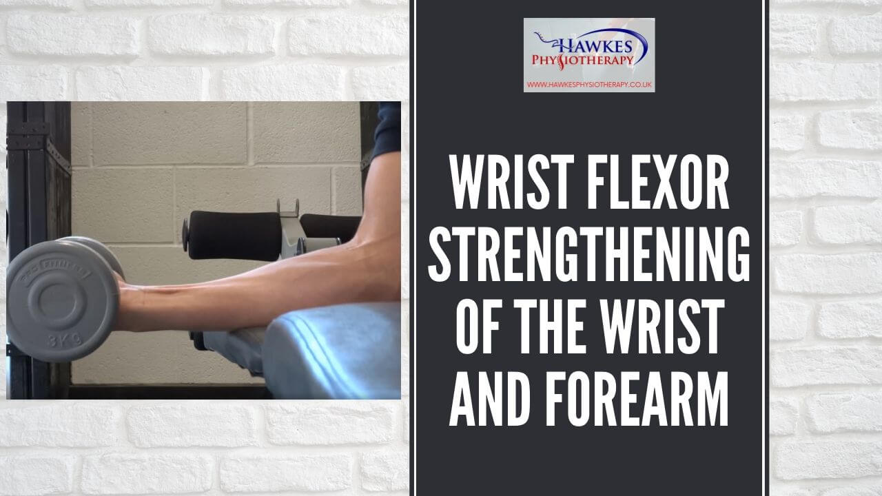 Wrist Flexor strengthening of the Wrist and Forearm