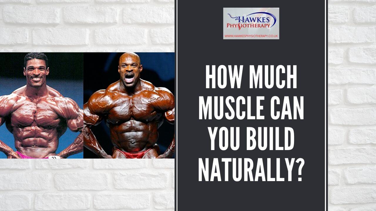 How Much Muscle Can You Build Naturally How Much Muscle Can You Build Naturally