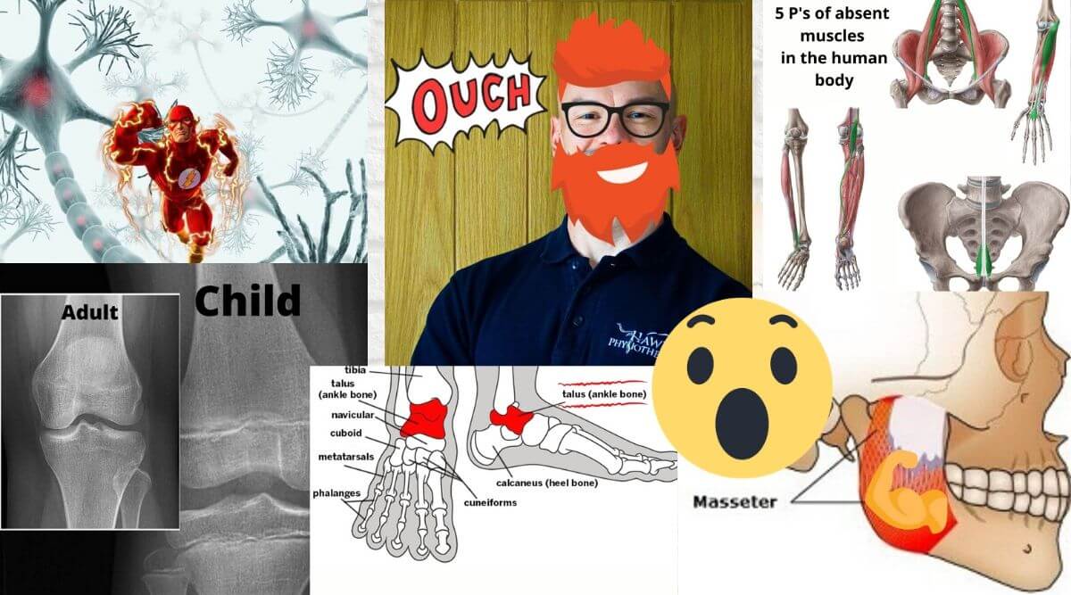 10 amazing facts about the human body - Fun & amazing facts of the body