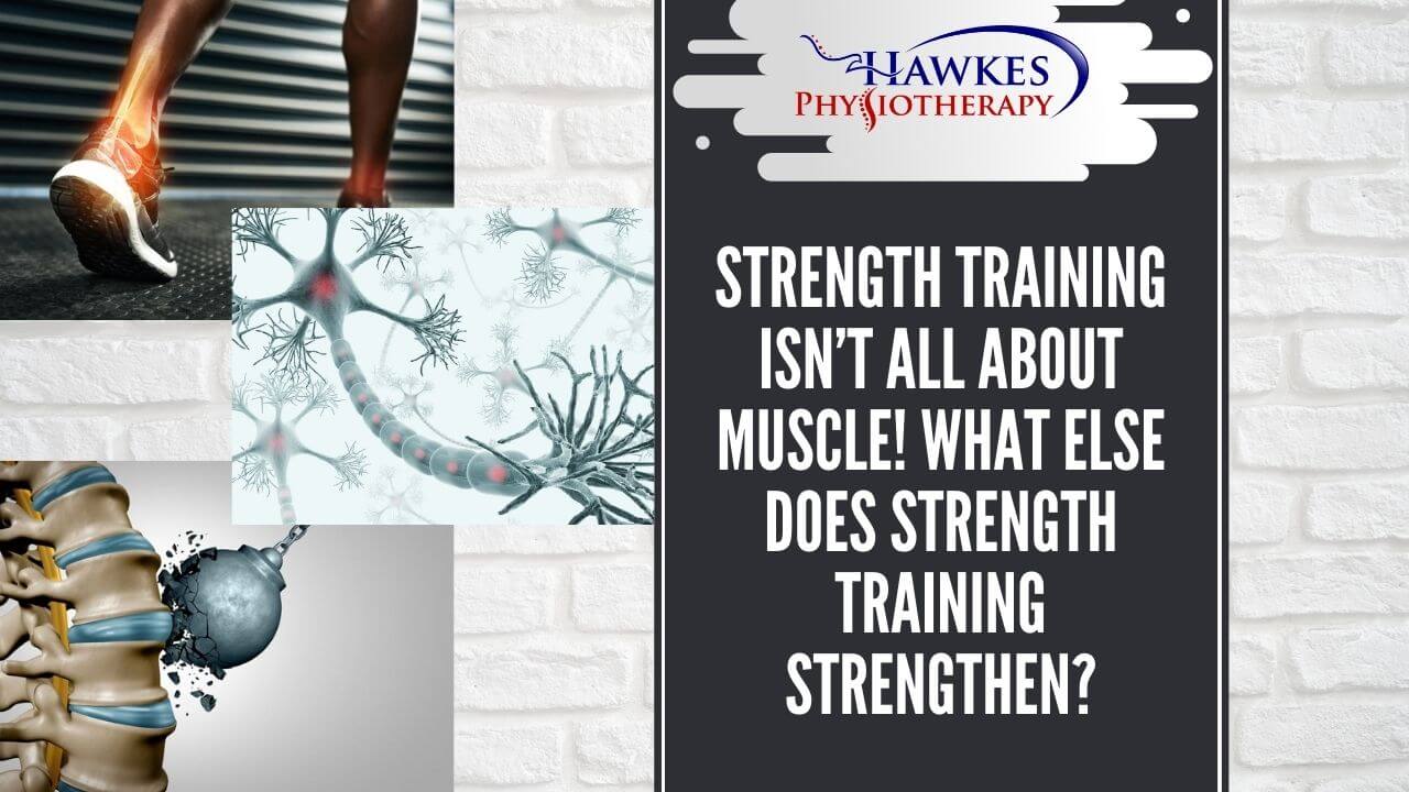 Strength training isn’t all about muscle! What else does strength ...