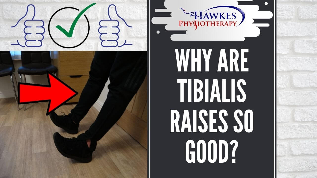 Why are Tibialis raises so good? Do you train your shins? You really should